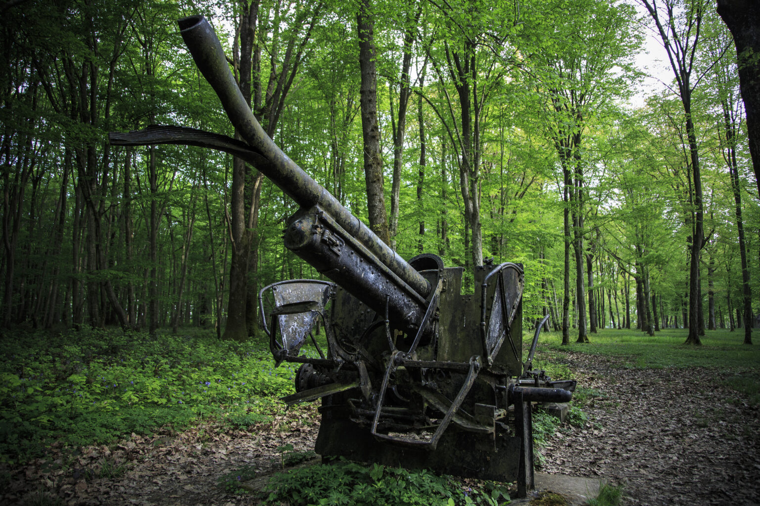 Discover the History of Belleau Wood - American Battle Monuments ...