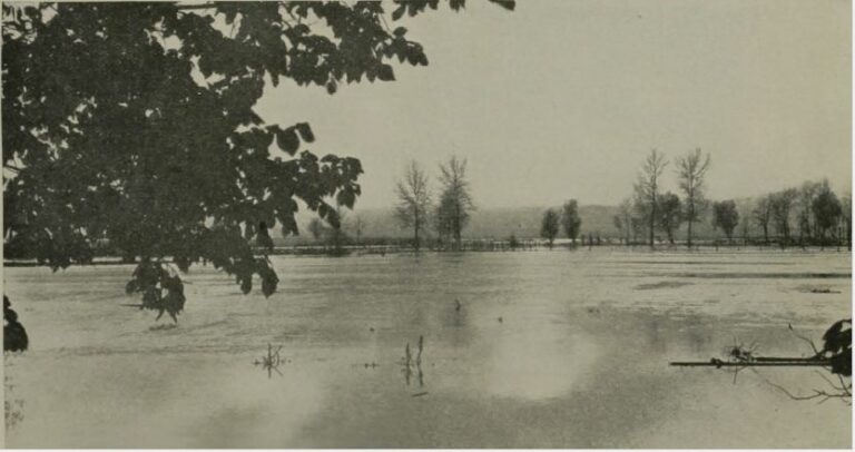 Historic image showing a swollen Meuse River. - American Battle ...