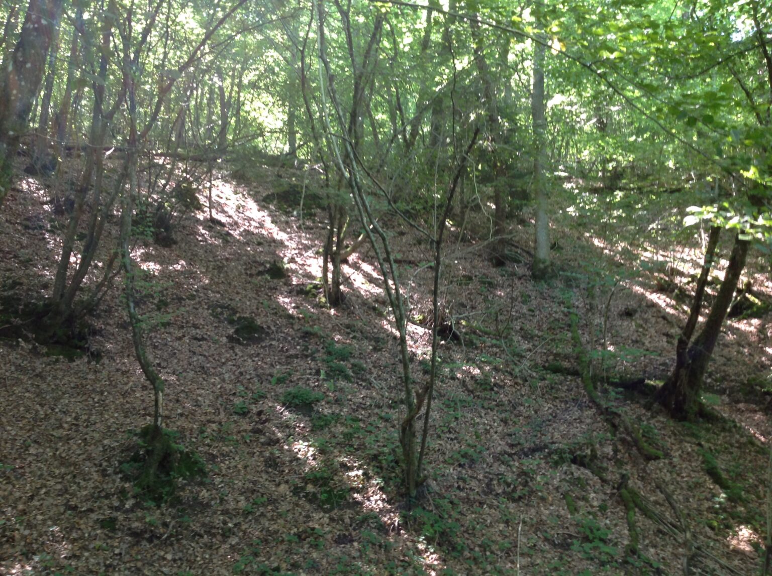 Teaching and Mapping the Geography of the Meuse Argonne Offensive ...
